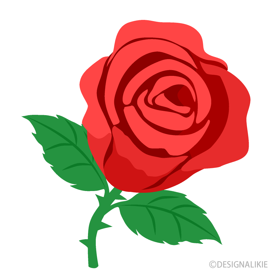 Rose Flower Png Hd Photos Infoupdate Rose Flower Png Hd Photos Infoupdate