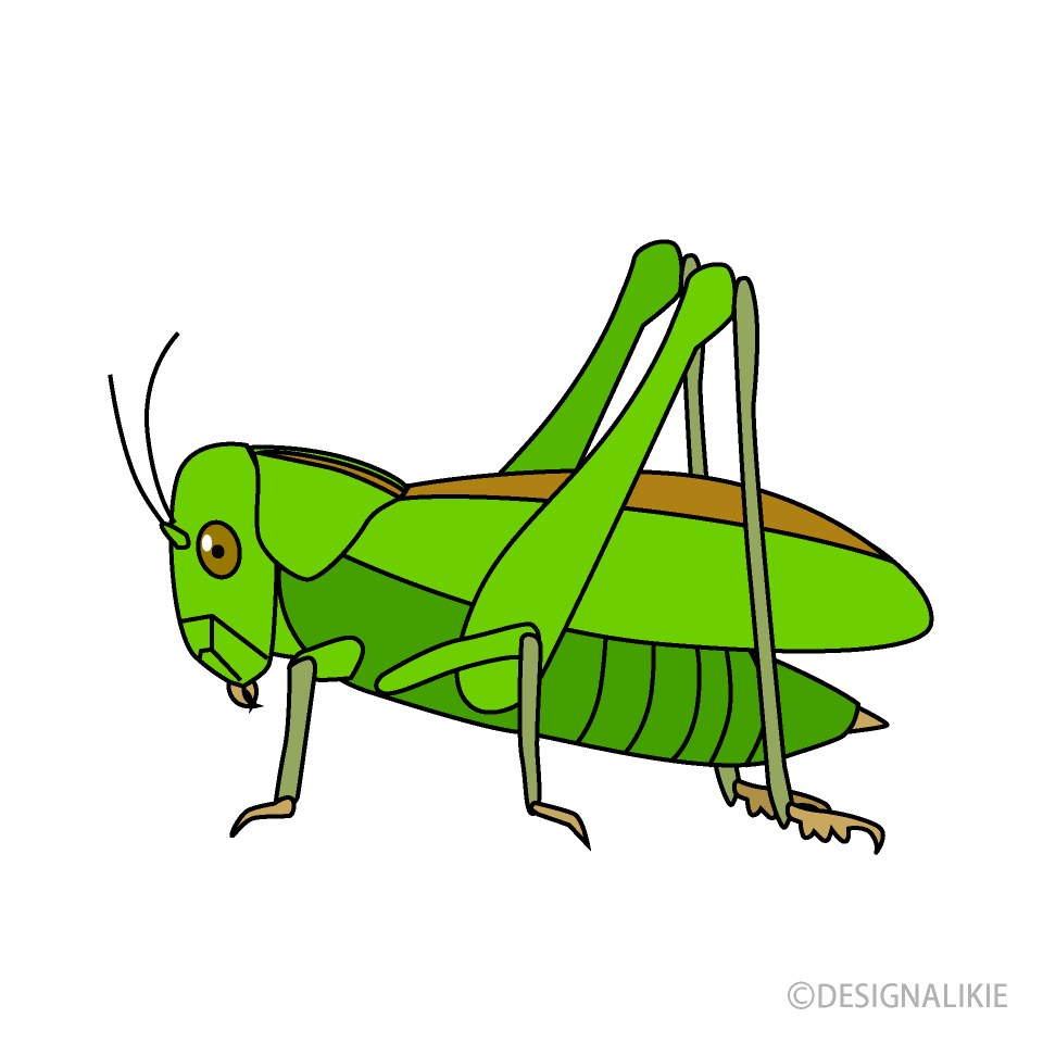 Grasshopper Clip Art