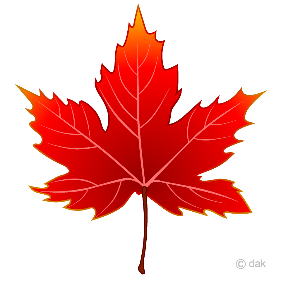 Free Clipart Maple Leaf Border